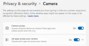 [Solved] Zoom Camera is Not Working on Windows 11/10