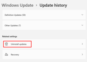 How to Fix Runtime Error in Windows 11